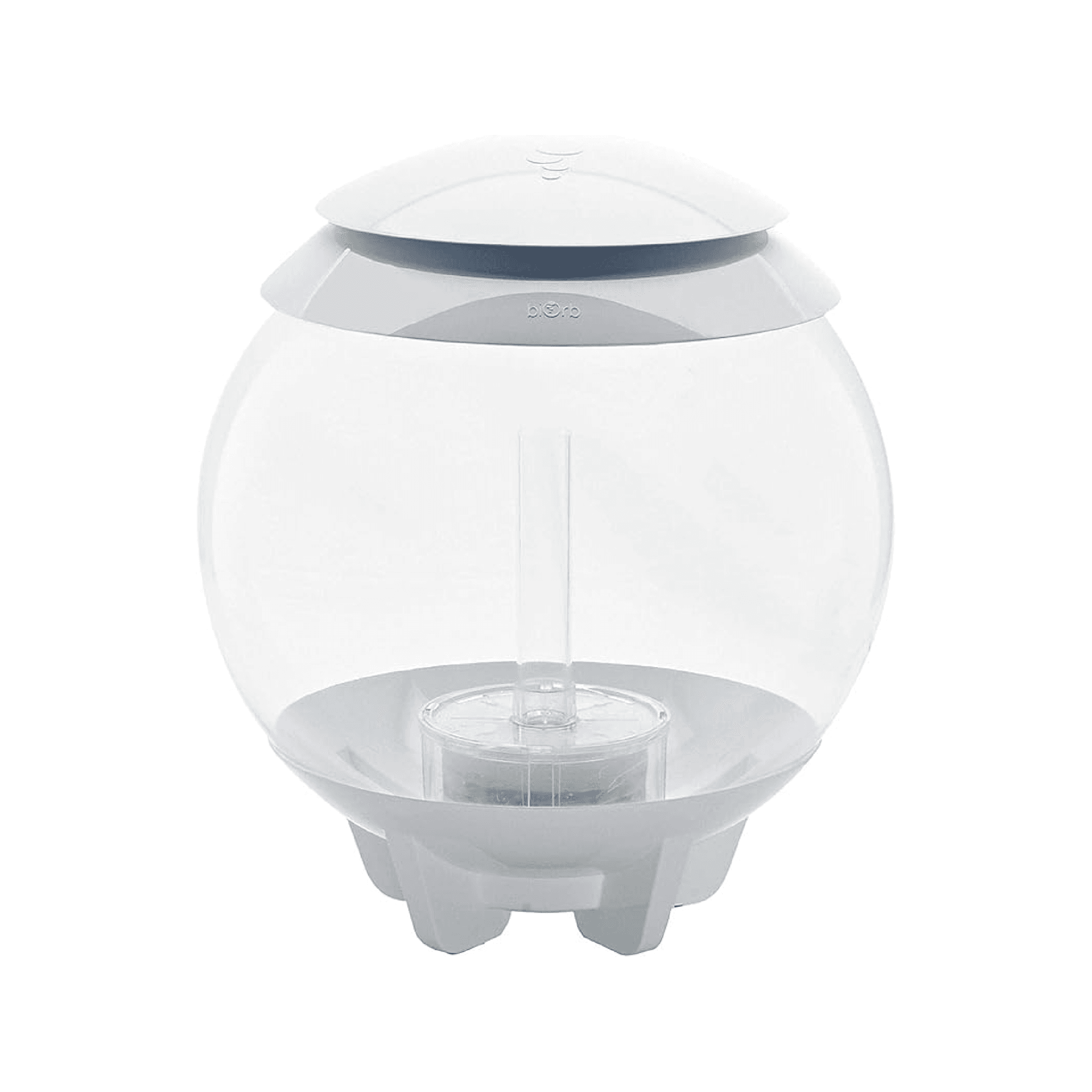 Akvariumas gaideliui – kokį rinktis?