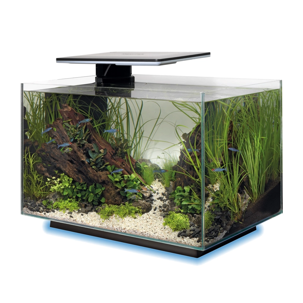 Akvariumo komplektas Quadro 40 LED/MULTICOLOUR - Akvariumai namams